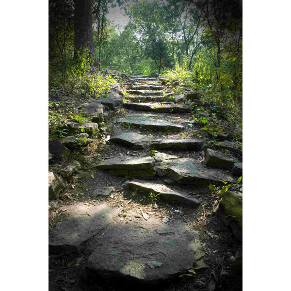Millwood Pines Forest Path 2 - Wrapped Canvas Photograph | Wayfair Millwood Pines Forest Path 2 - Wrapped Canvas Photograph | Wayfair